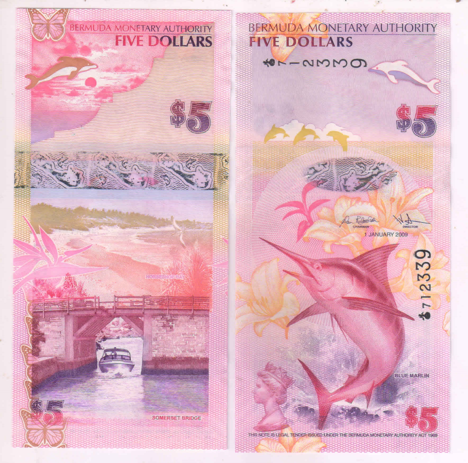 Bermuda - 5 dollars unc currency note - KB Coins & Currencies