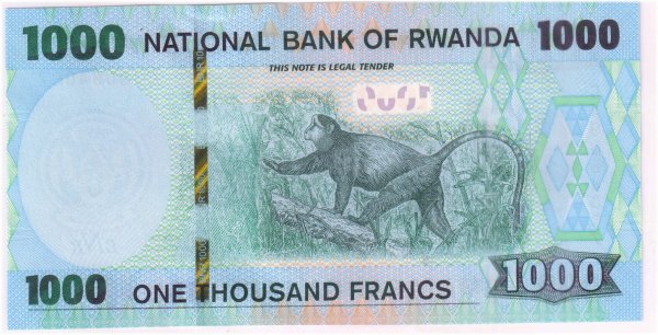 Rwanda - 1000 frs 2019 unc currency note - KB Coins & Currencies