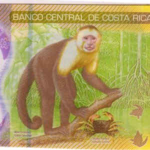 Costa Rica - 5 mils 2018 unc polymer currency note - KB Coins & Currencies