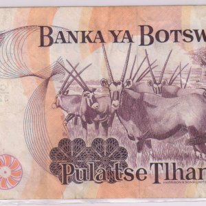 Botswana - 5 pula 1992 used currency note - KB Coins & Currencies