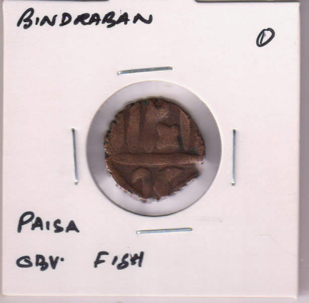 Bindraban ( Vrindavana) State - paisa , fish, Nazibabad mint copper ...