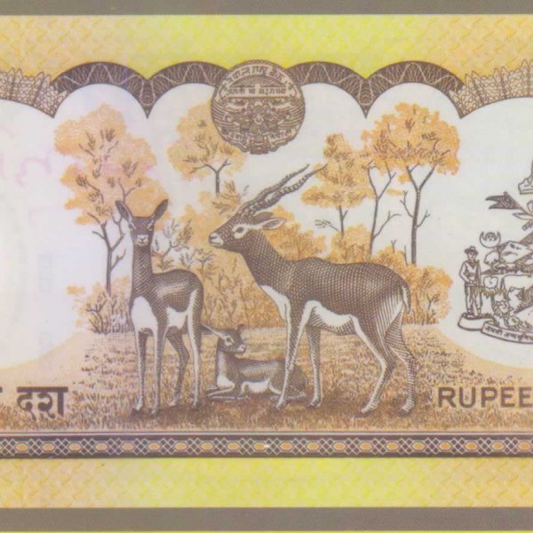 Nepal - 10 rupee polymer commemorative issue currency note / folder ...