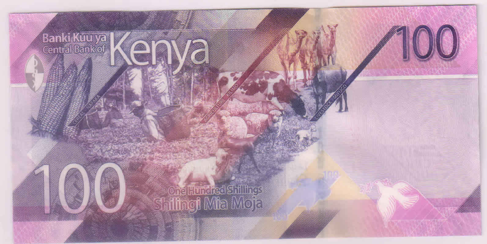 Kenya - 100 shilligi 2019 unc currency note - KB Coins & Currencies