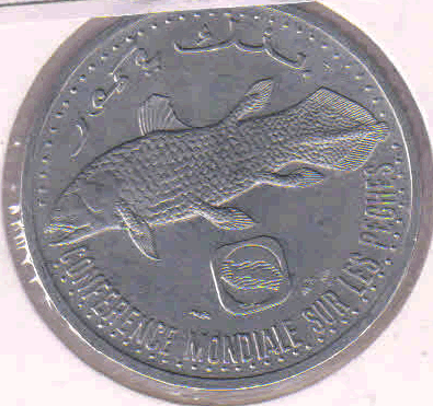 Comoros island 5 frs 1992 unc coin - KB Coins & Currencies