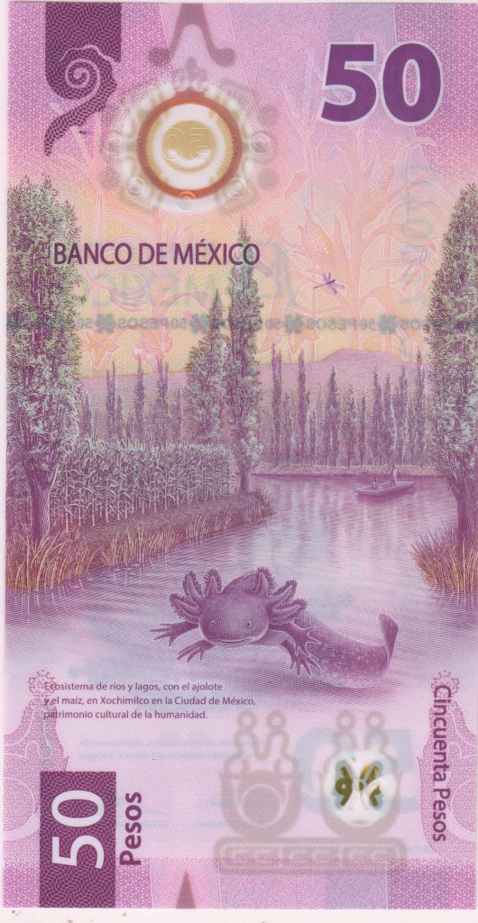 Mexico 50 pesos 2021 polymer unc currency note - KB Coins & Currencies