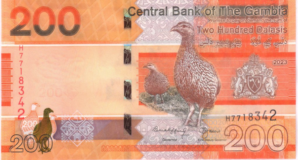 Gambia - 200 dalasis 2023 unc currency note - KB Coins & Currencies