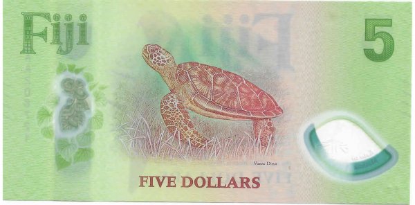 Fiji - 5 dollars 2025 unc polymer currency note - KB Coins & Currencies